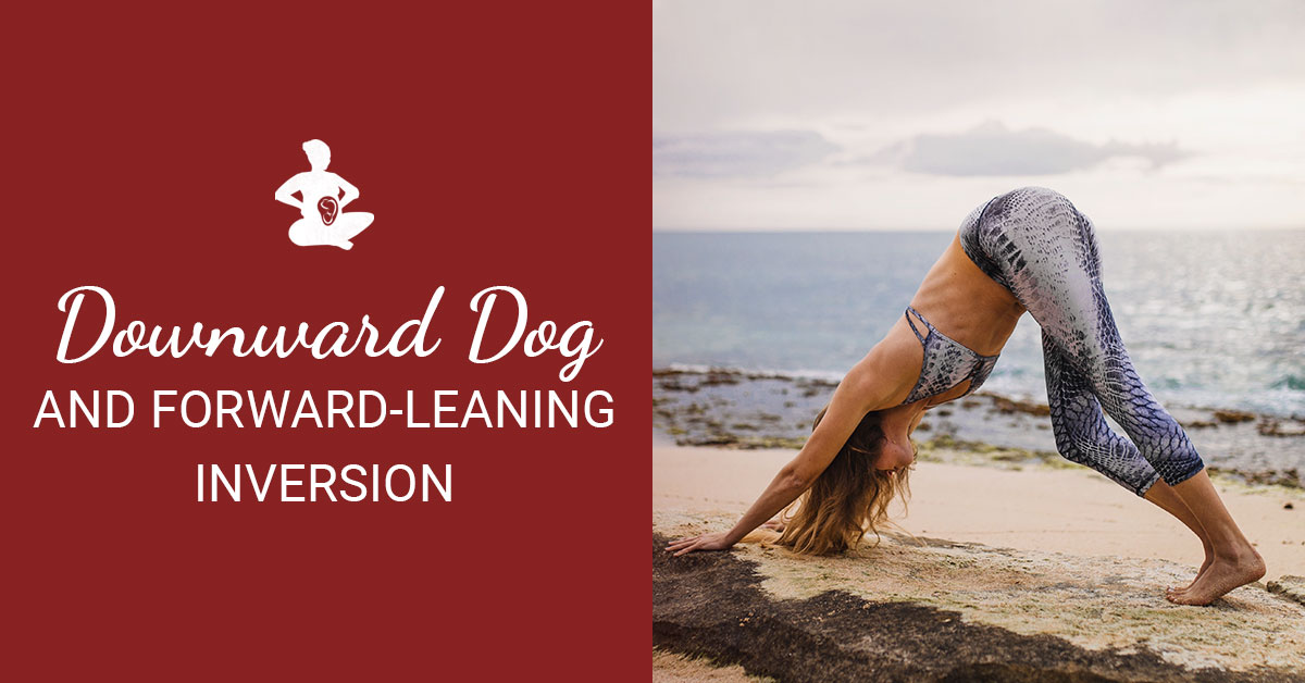 Is Down Dog the Same as Forward Leaning Inversion? - Spinning Babies