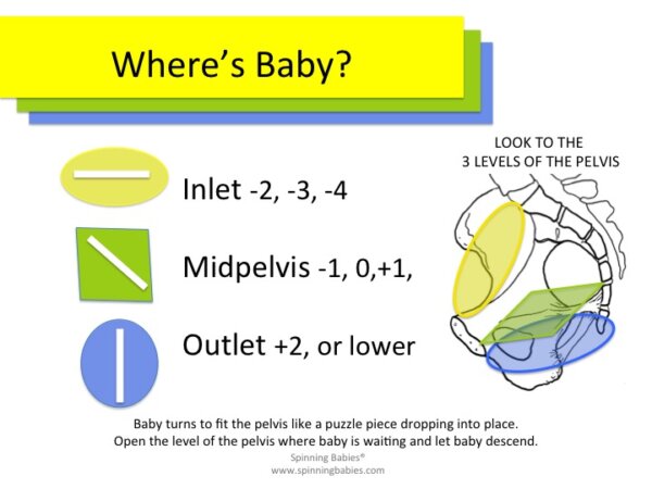 What is Spinning Babies? - A New Paradigm of Birth - Spinning Babies