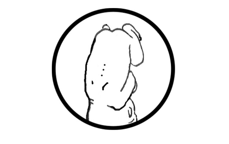 Right Occiput Anterior (ROA) - Spinning Babies