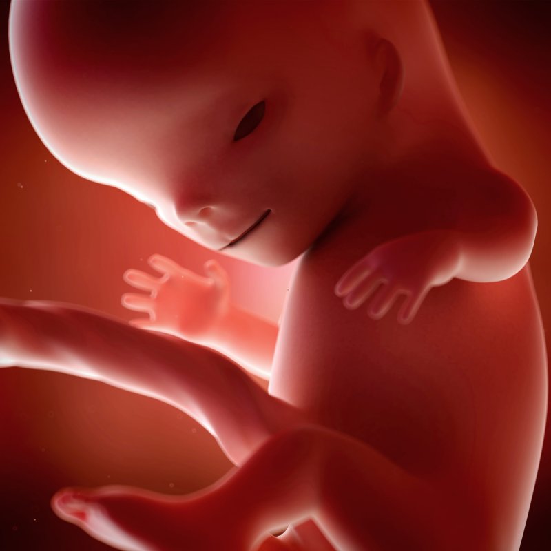 11 Weeks Pregnant: Why Pelvic Balance Matters - Spinning Babies