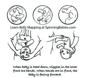 Posterior - A Guide to Posterior Fetal Presentation - Spinning Babies