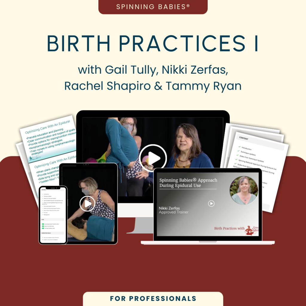Spinning Babies® Birth Skills Training