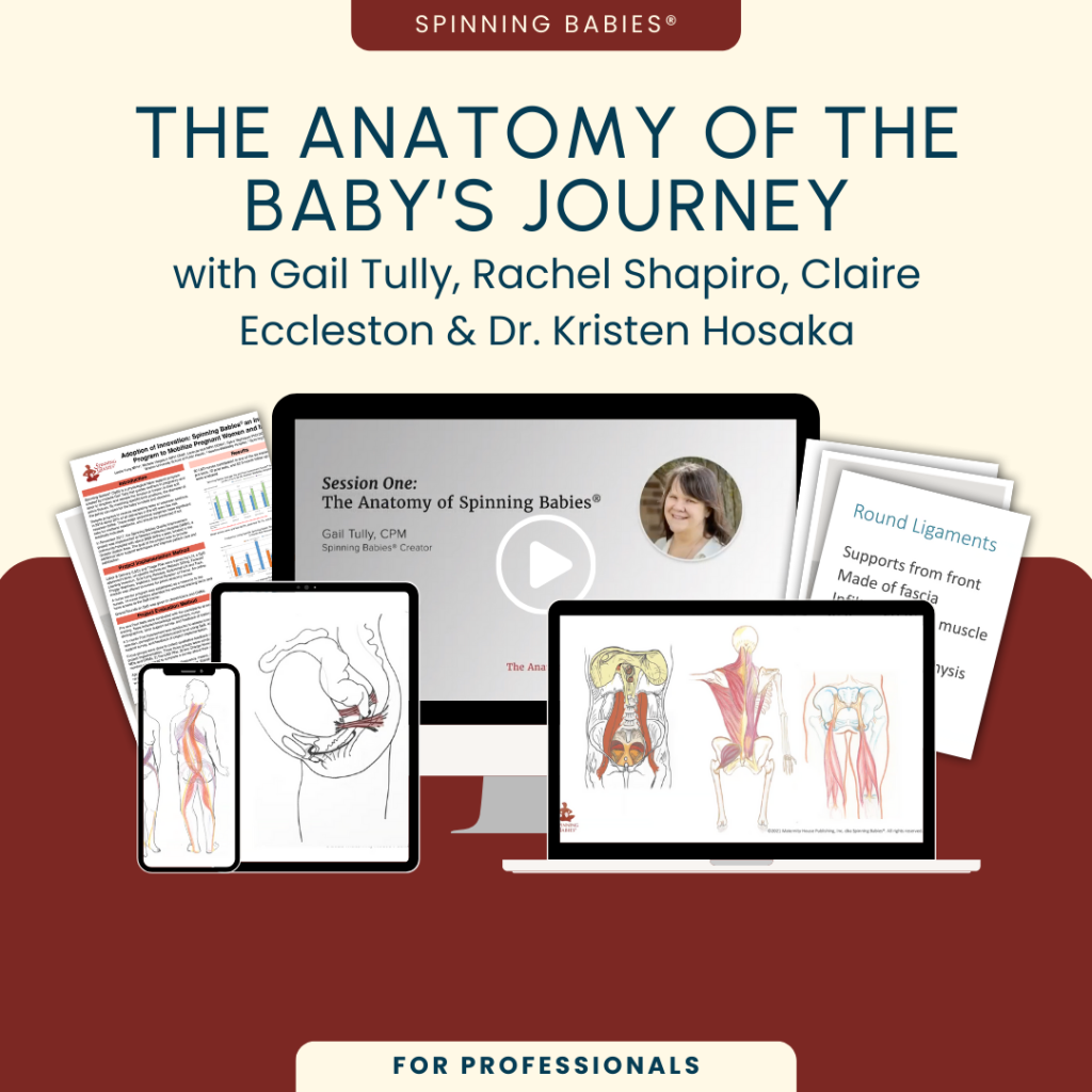 The Anatomy of the Baby's Journey - Spinning Babies