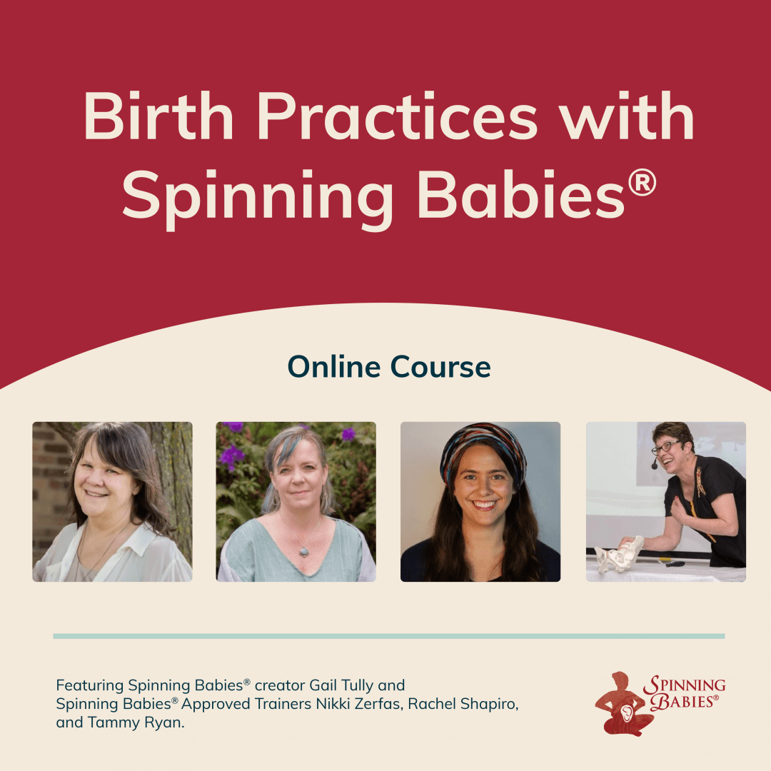 Breech Birth Quick Guide Digital Download - Spinning Babies
