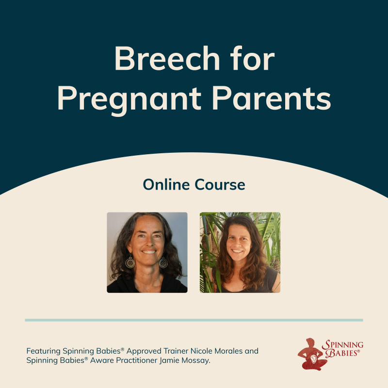 Helping Your Breech Baby Turn - eBook - Spinning Babies