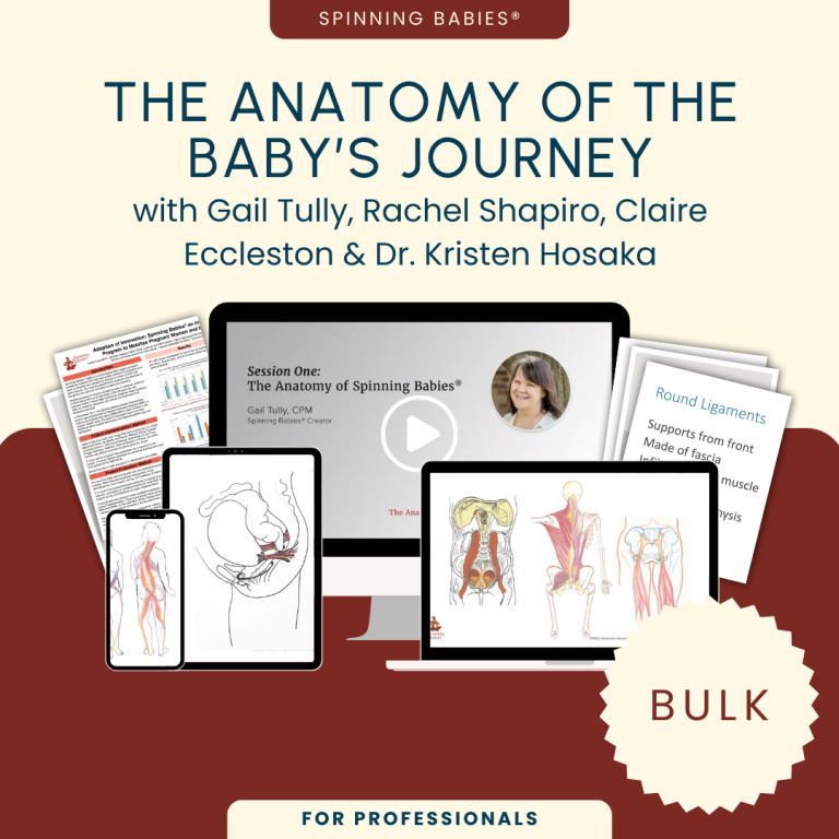 The Anatomy of the Baby's Journey (Bulk) - Spinning Babies