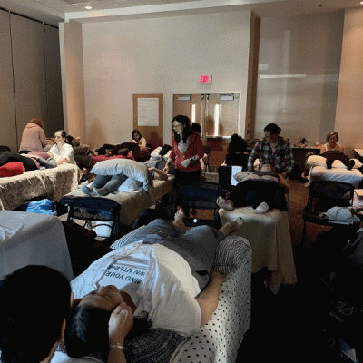 Spinning Babies®️ Aware Practitioner Workshop - Spinning Babies