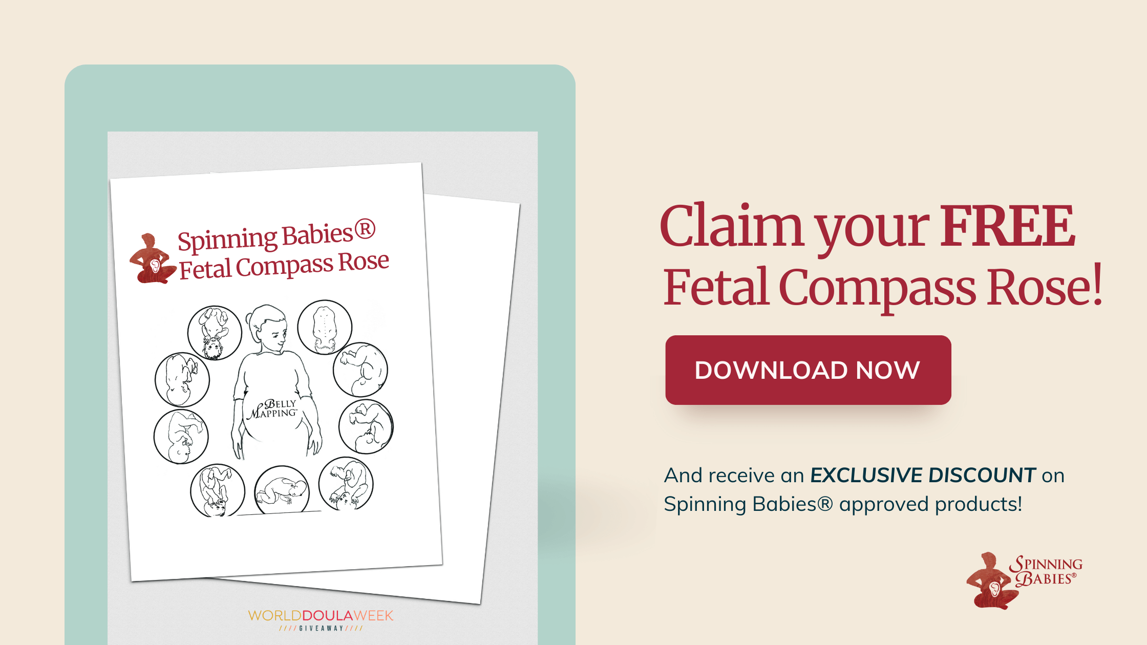 World Doula Week Giveaway - Spinning Babies