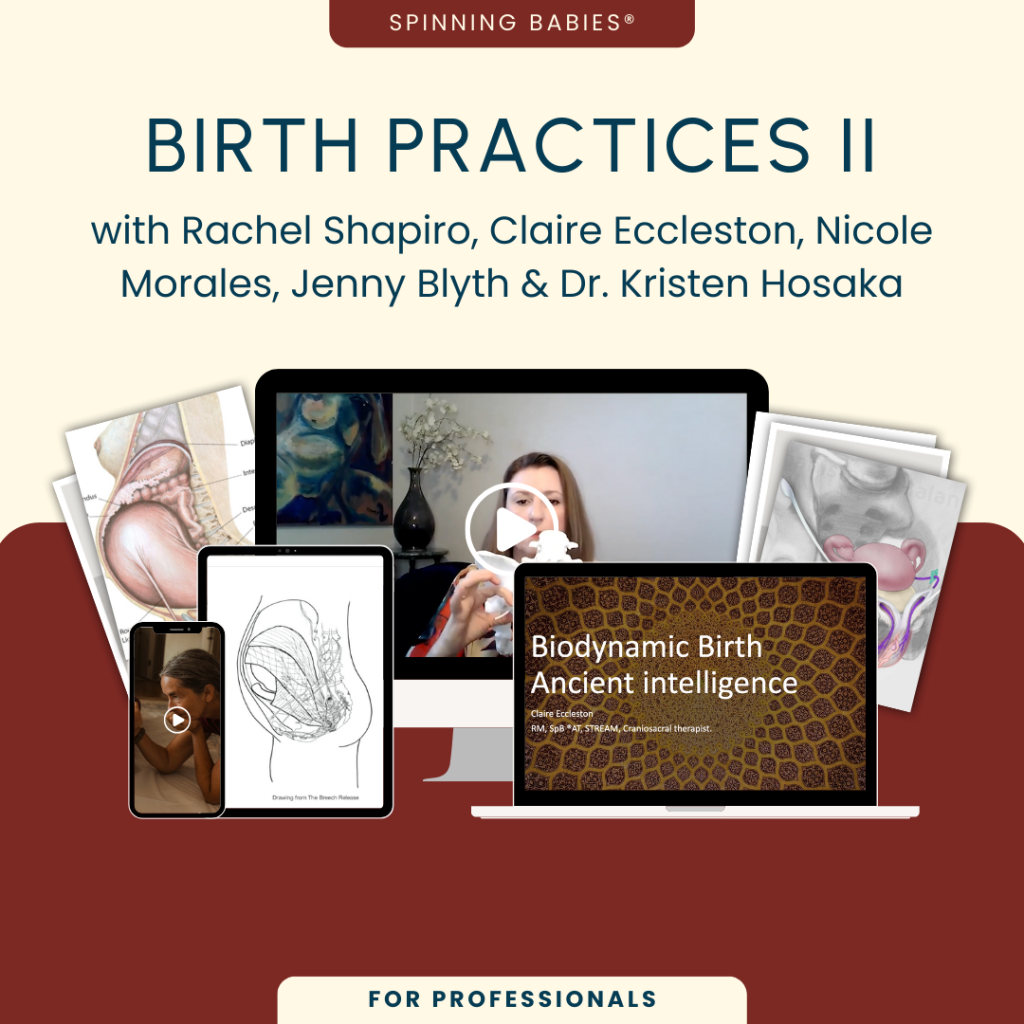 Birth Practices II with Spinning Babies® - Spinning Babies