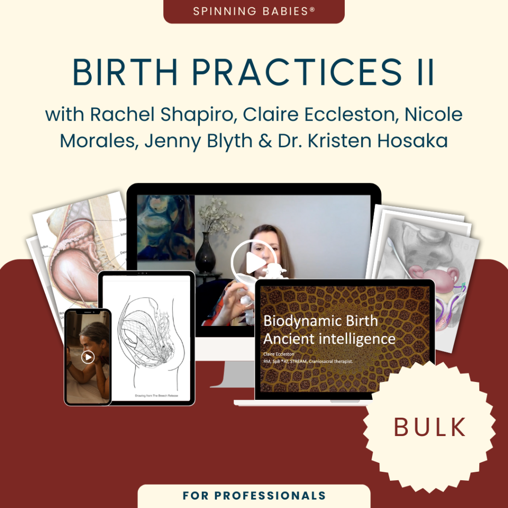 Online Courses Archives - Spinning Babies