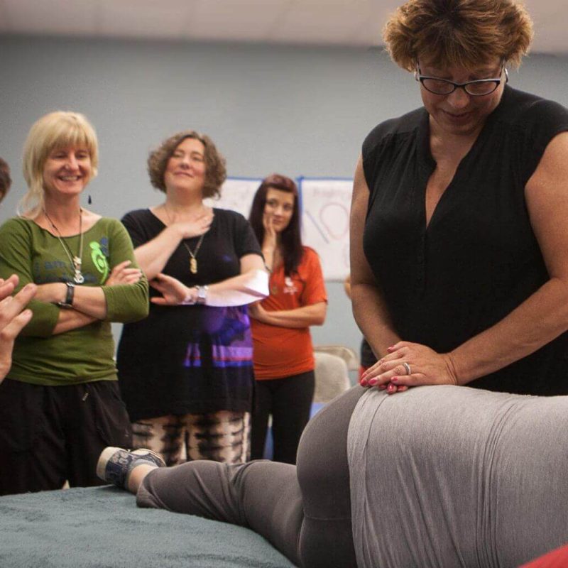 Spinning Babies® Integration Workshop