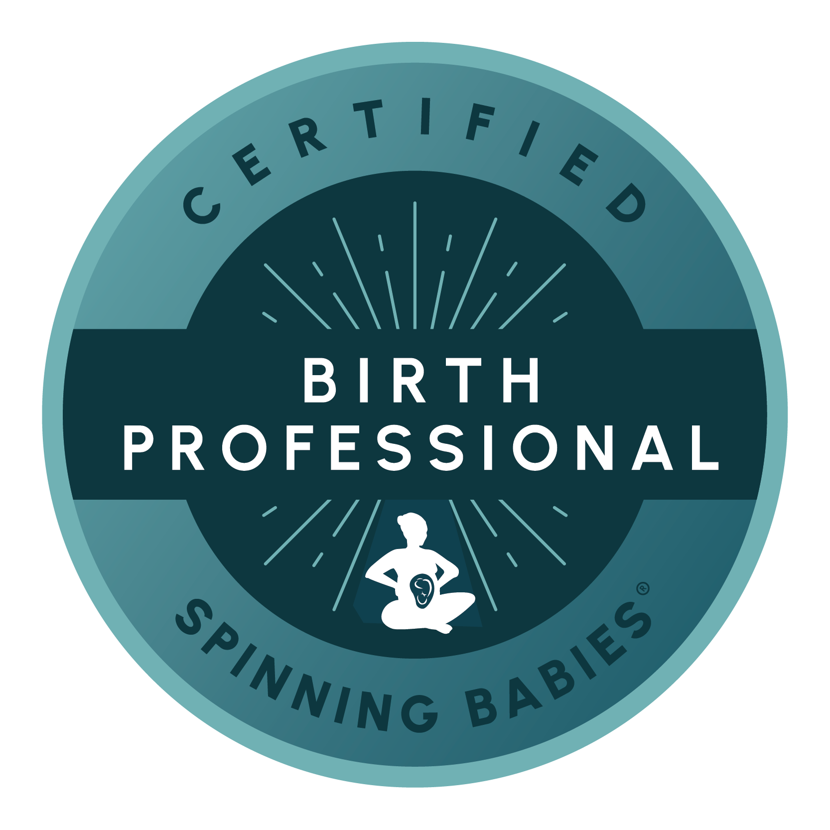Spinning Babies® Certified Birth Professional (SpBCBP) - Spinning Babies
