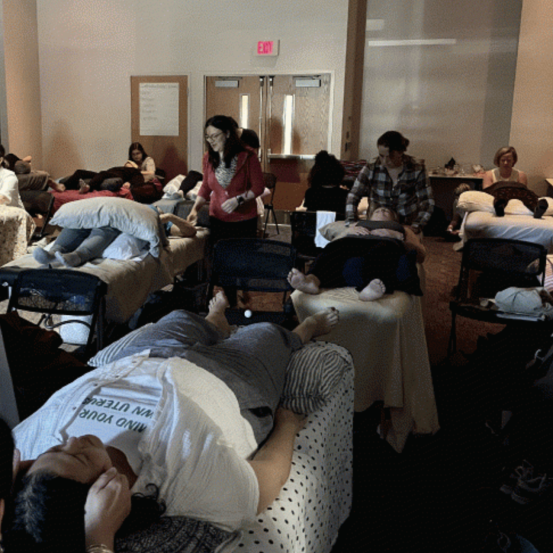 Spinning Babies® Aware Practitioner Training