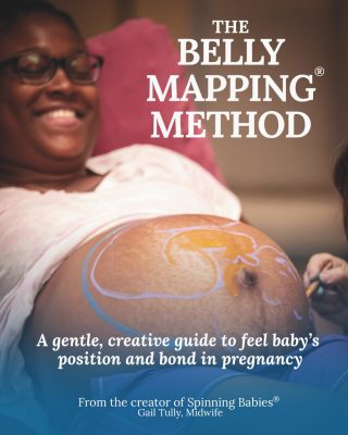 The Belly Mapping® Method Book - Spinning Babies