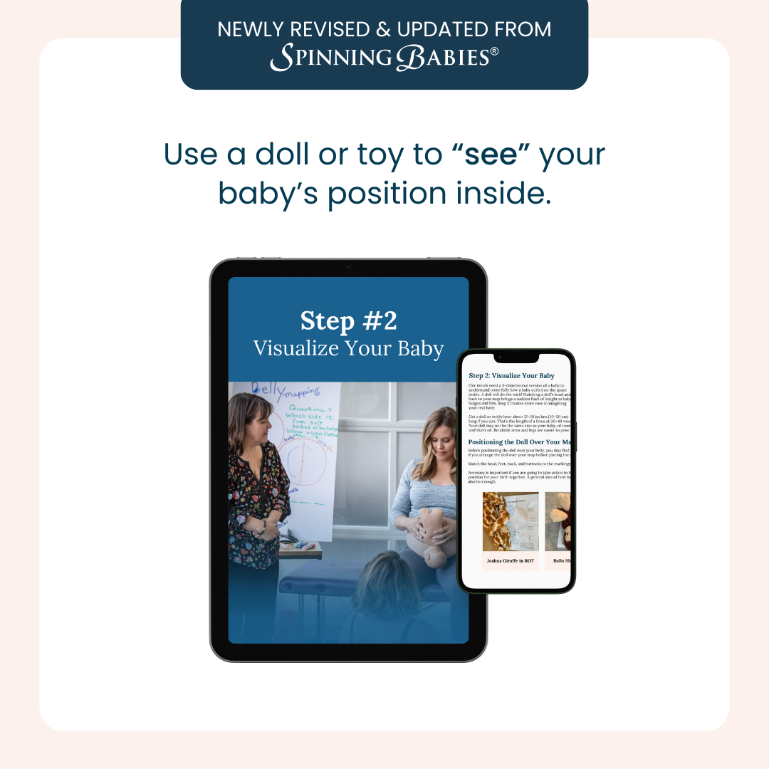 The Belly Mapping® Method eBook - Spinning Babies