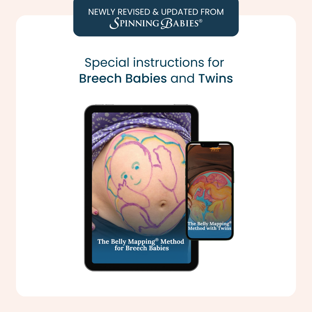 The Belly Mapping® Method eBook - Spinning Babies