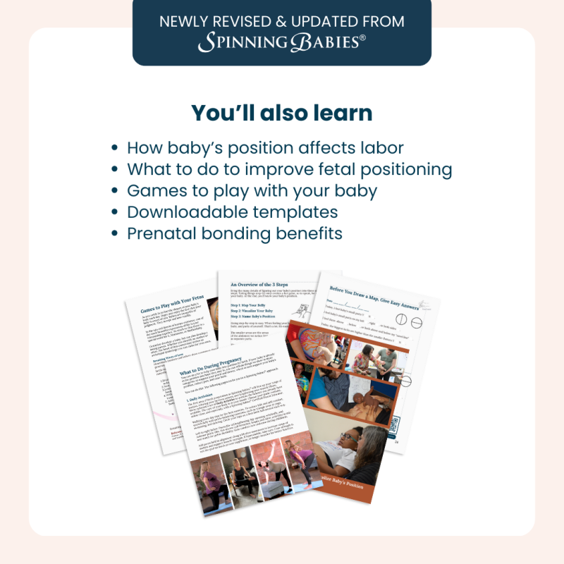 The Belly Mapping® Method eBook - Spinning Babies