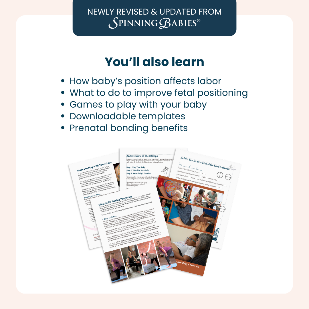 The Belly Mapping® Method eBook - Spinning Babies