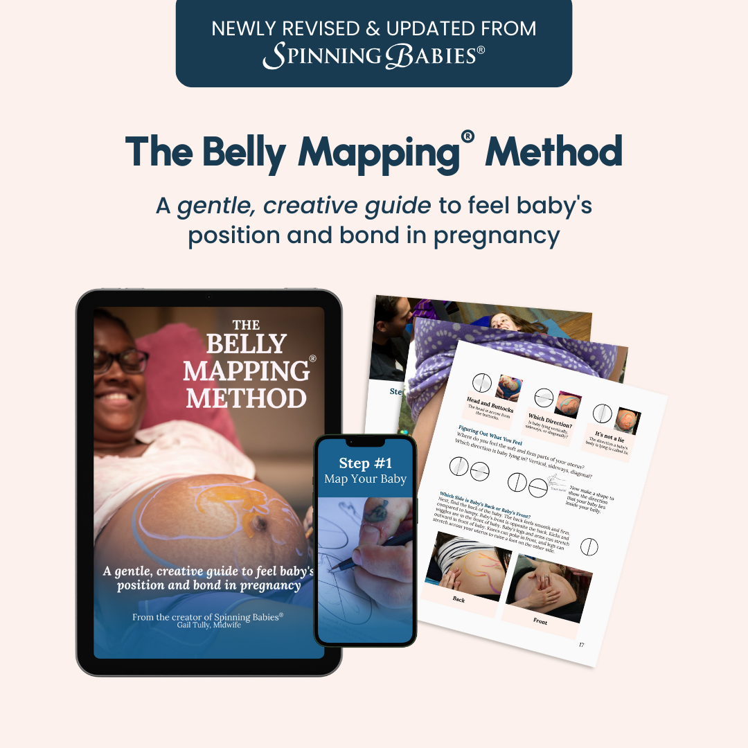 The Belly Mapping® Method eBook - Spinning Babies