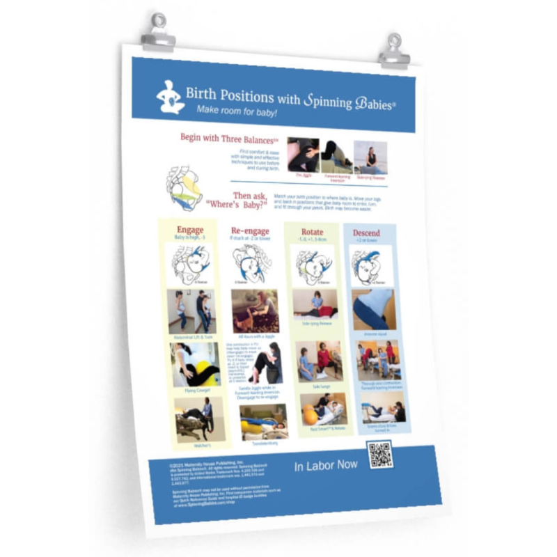 Birth Positions with Spinning Babies® Poster - Spinning Babies
