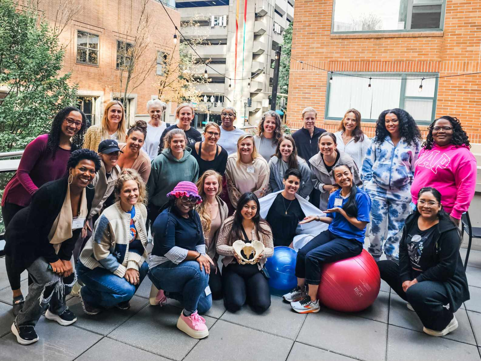 Spinning Babies® Certified Parent Educator, Chicago, IL, Fall 2026 ...